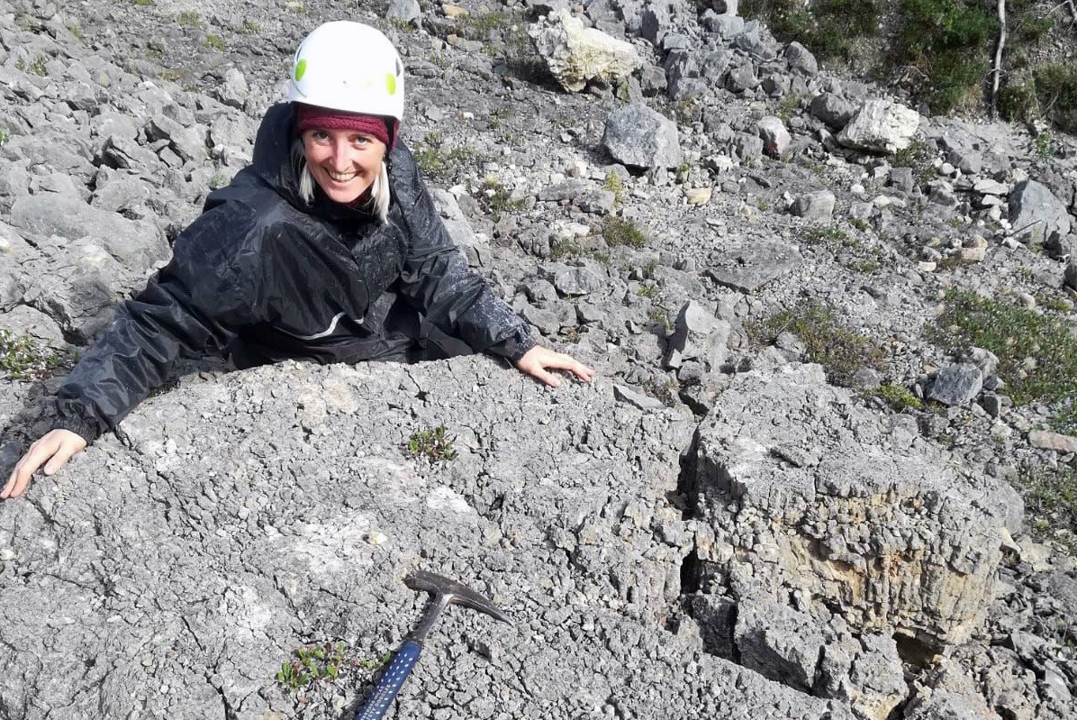 Vant med artikkel om jordas magnetfelt - Geoforskning.no
