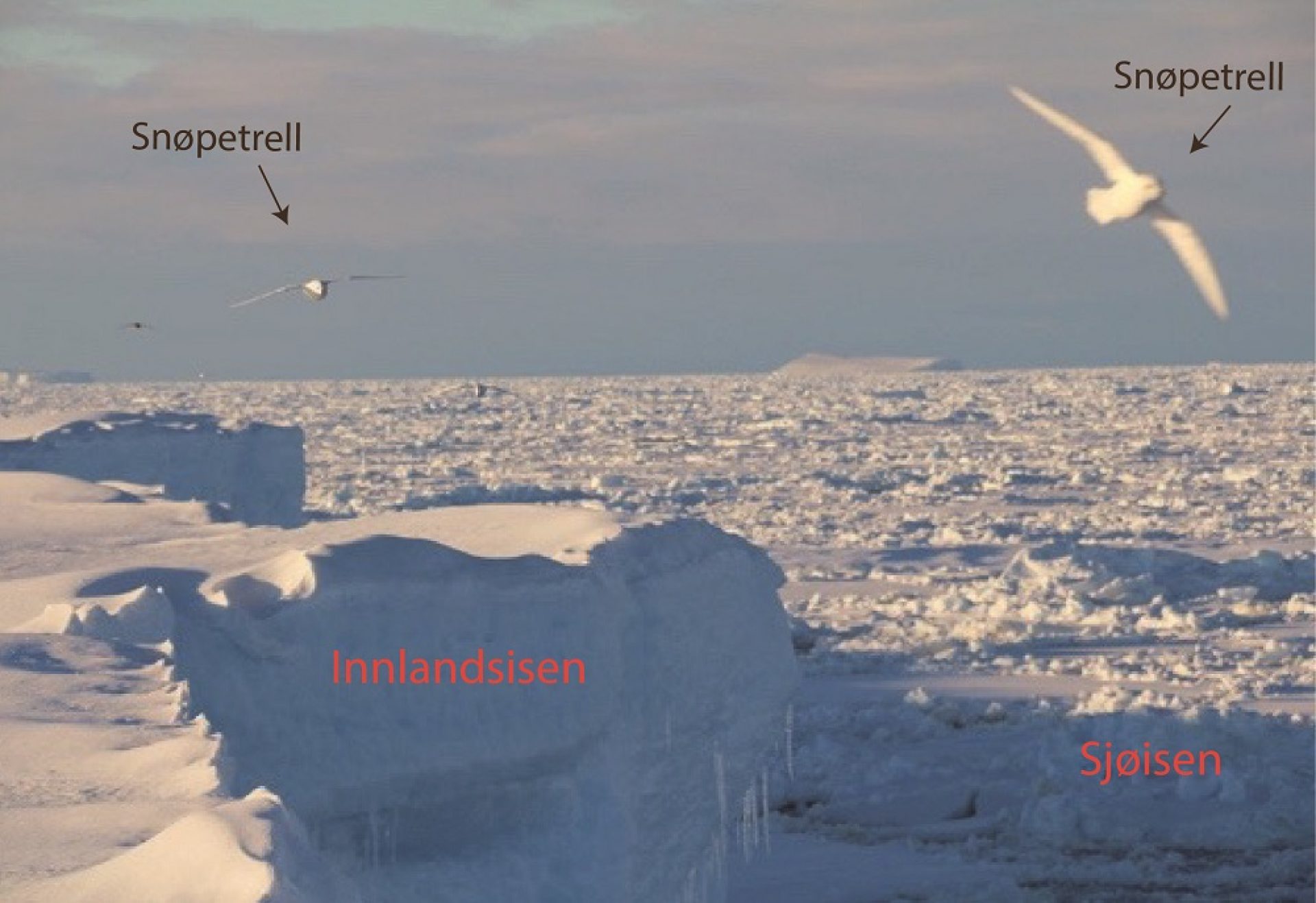 Et magevrengende klimaarkiv - Geoforskning.no
